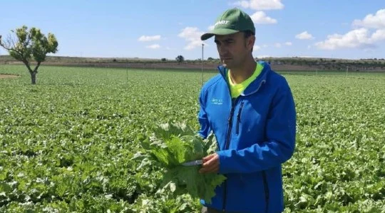 Descubre cómo funciona YaraVita Biotrac | Yara Chile